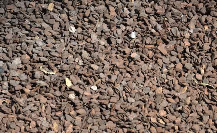 Bark Chips