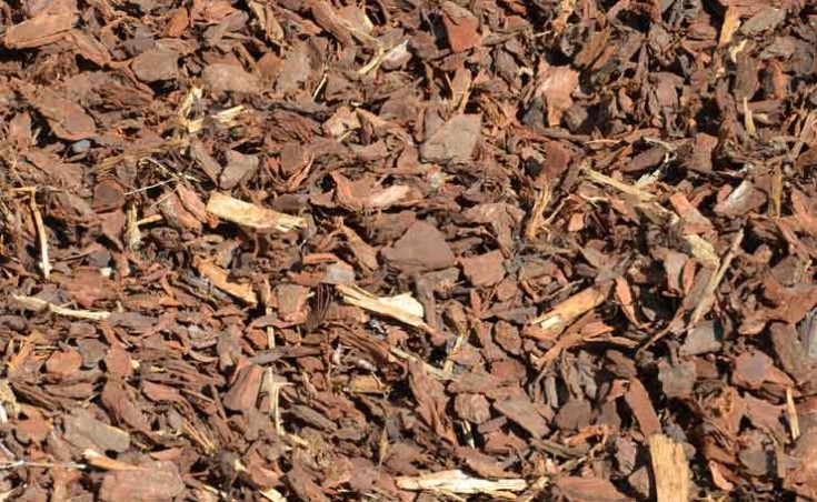Landscape Bark Chip 40mm