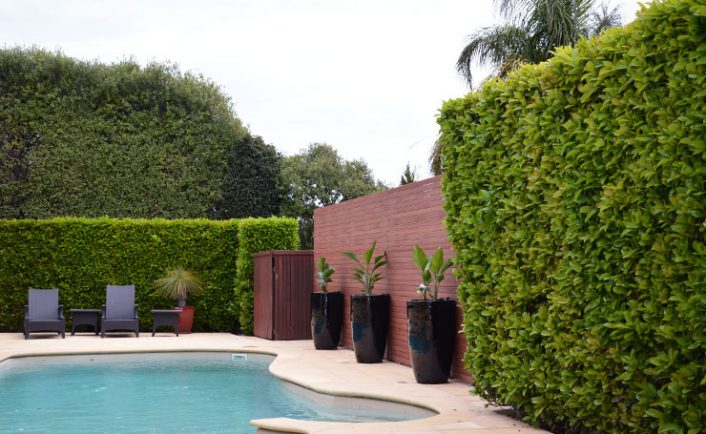 Landscaping Portfolio