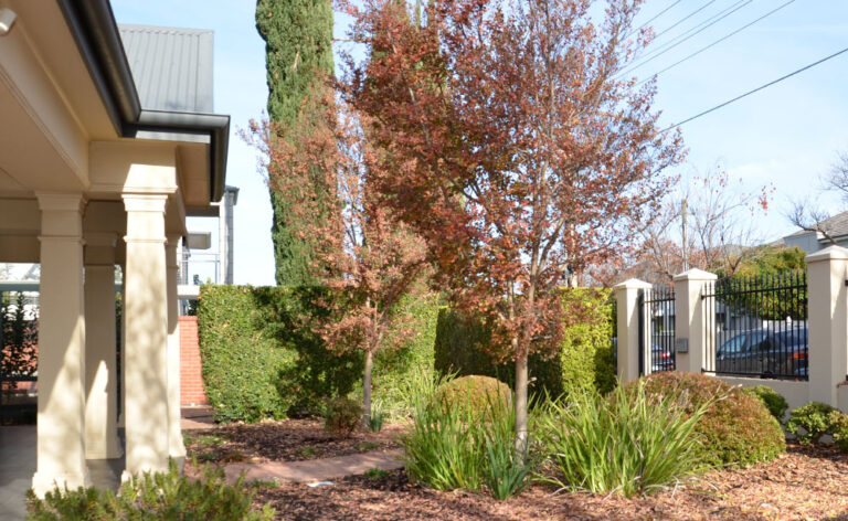 Landscaping Adelaide | Landscapers Adelaide SA